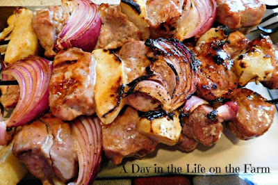 A Day in the Life on the Farm: Pork and Apple Kabobs #OurFamilyTable