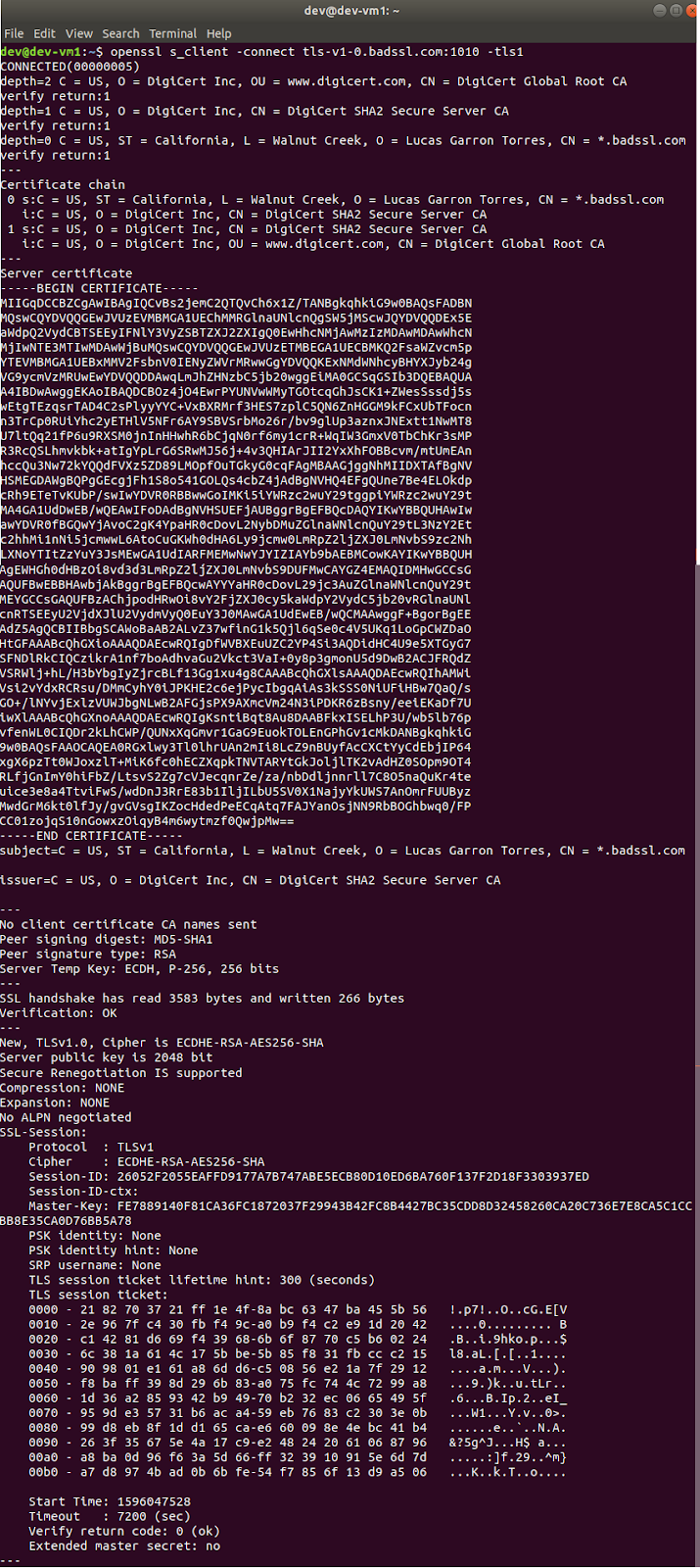 Command To Check Tls Version In Windows Server 2019 - Printable Forms ...