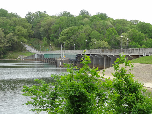 Live and Learn-Toss and Turn: Another Walk in the Woods