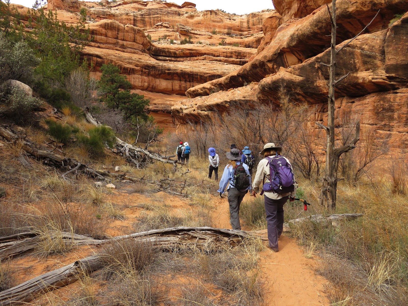Around the Bend Friends ®: Fallen Roof Ruins & Seven Kivas - Road ...