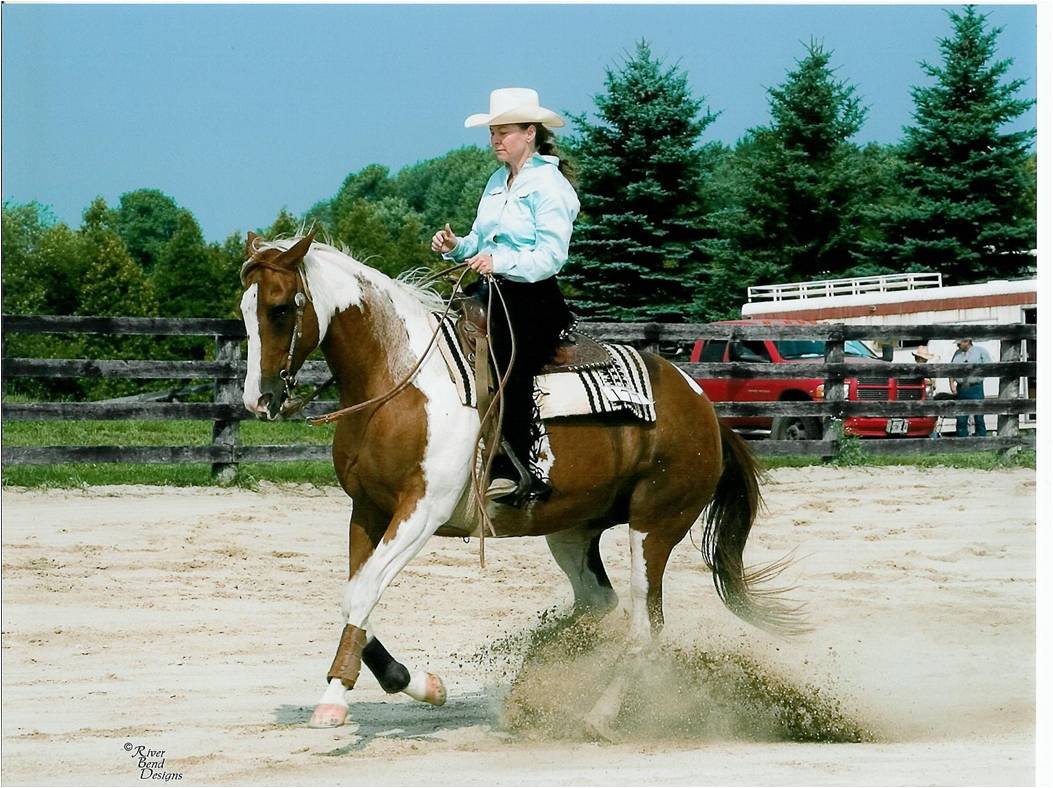 Foundation Reining Training Centre: August 2014