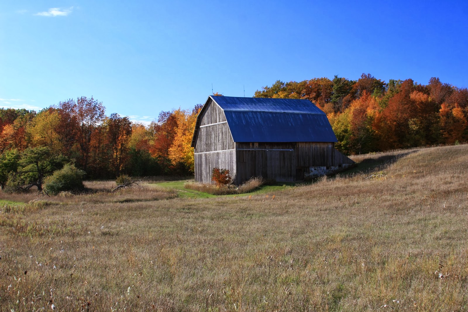 Isabella Conservation District Environmental Education Program: The ...
