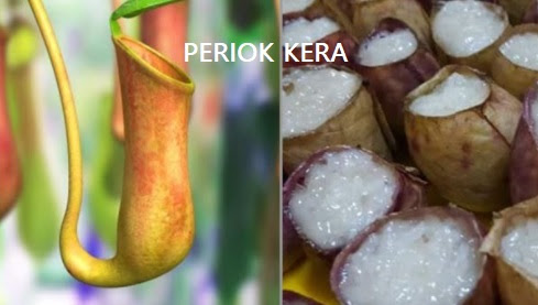 Anim Agro Technology: PERIUK KERA - SEMAKIN TERANCAM