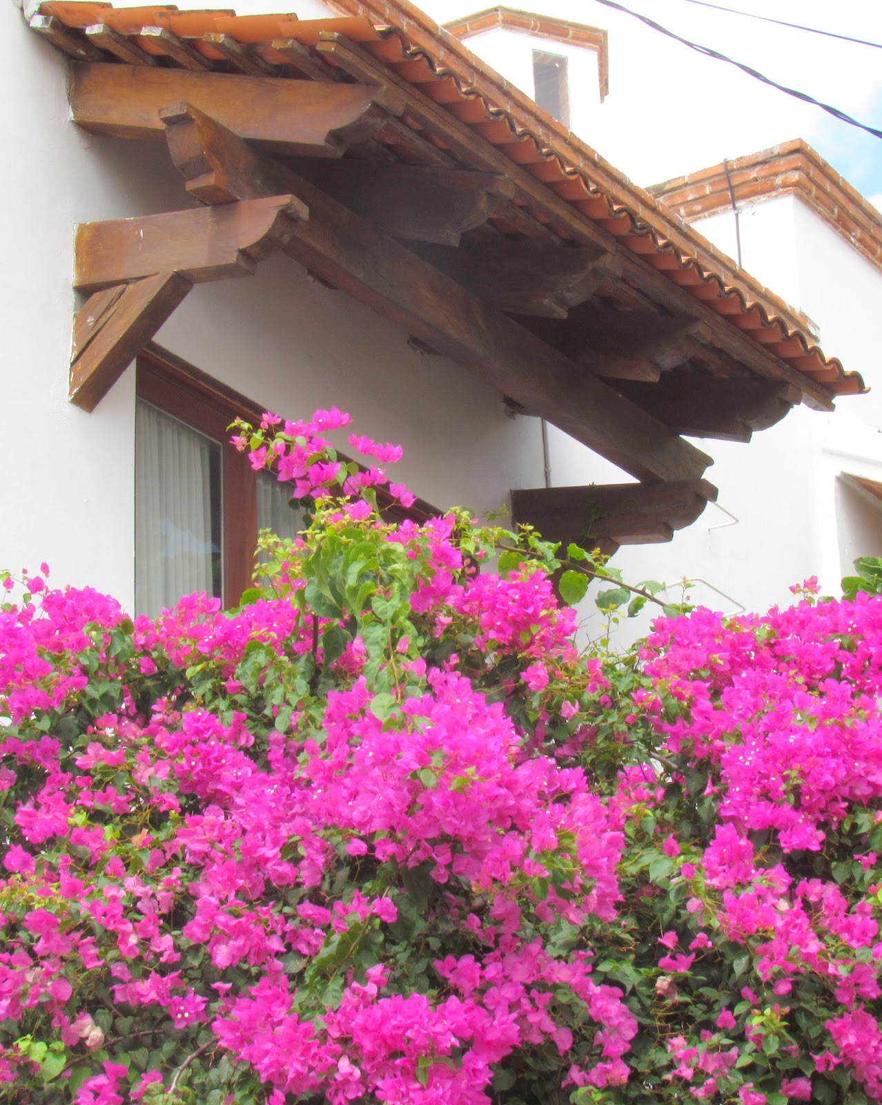 Escribiendo en la Cocina: Bugambilia