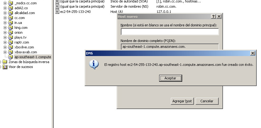 Añadir DNS externo como localhost en Windows Server
