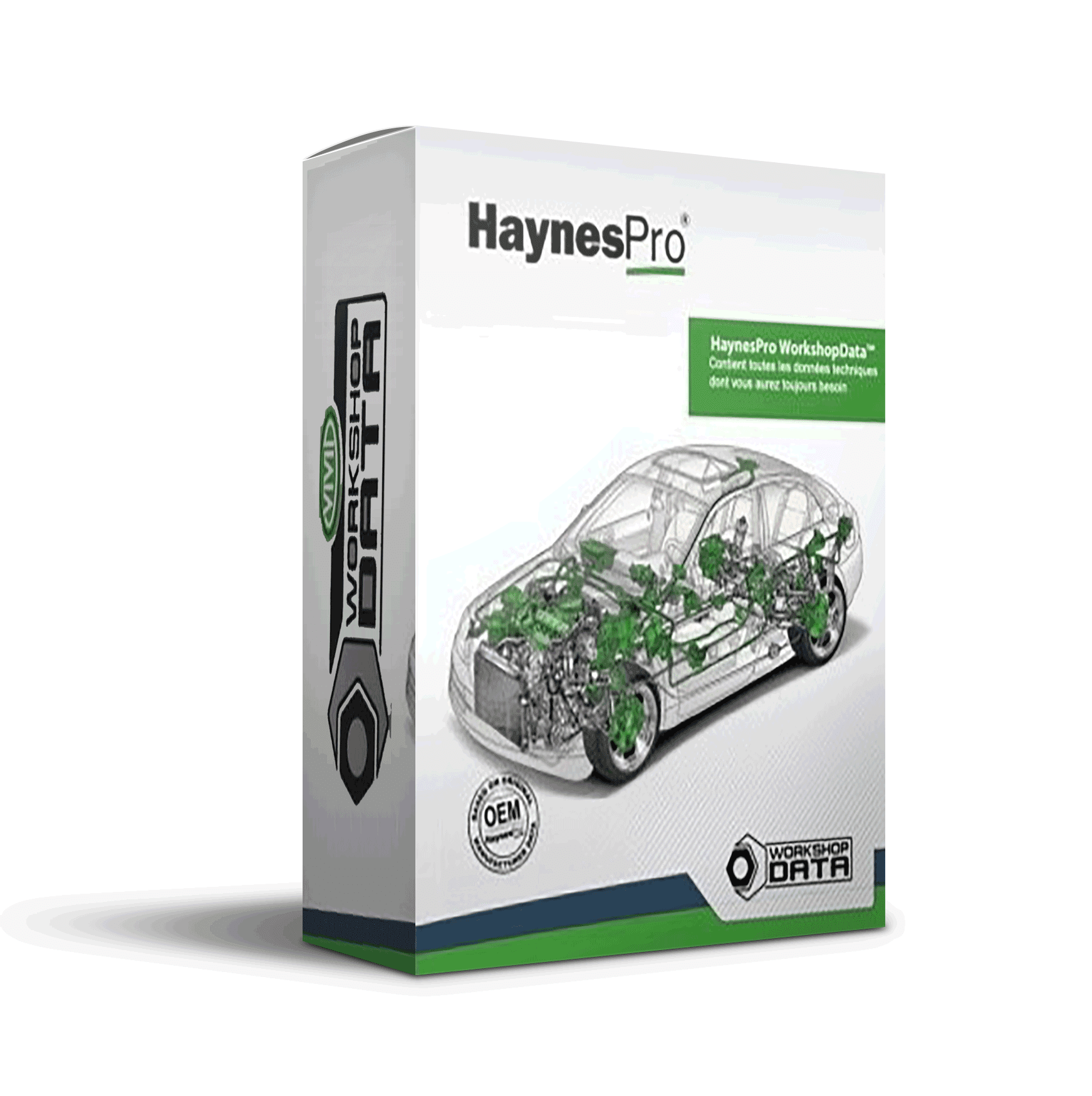 Haynespro Workshopdata