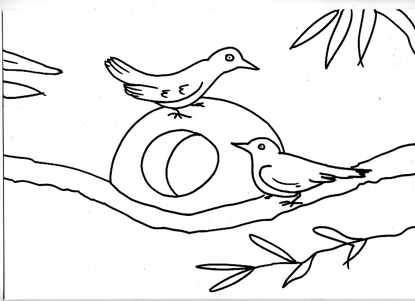 Dibujos para imprimir y colorear pintar imagenes para niños: Hornero ...