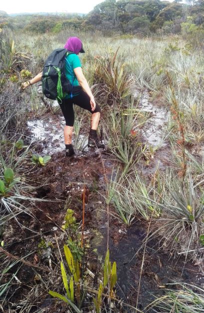 andrewjameslee: Hiking Angel Falls