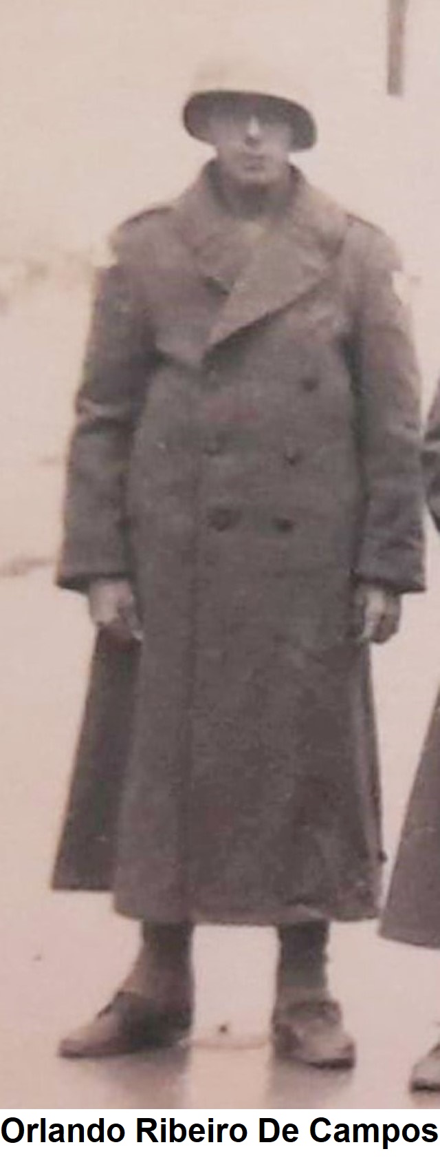 HISTÓRIA LICENCIATURA