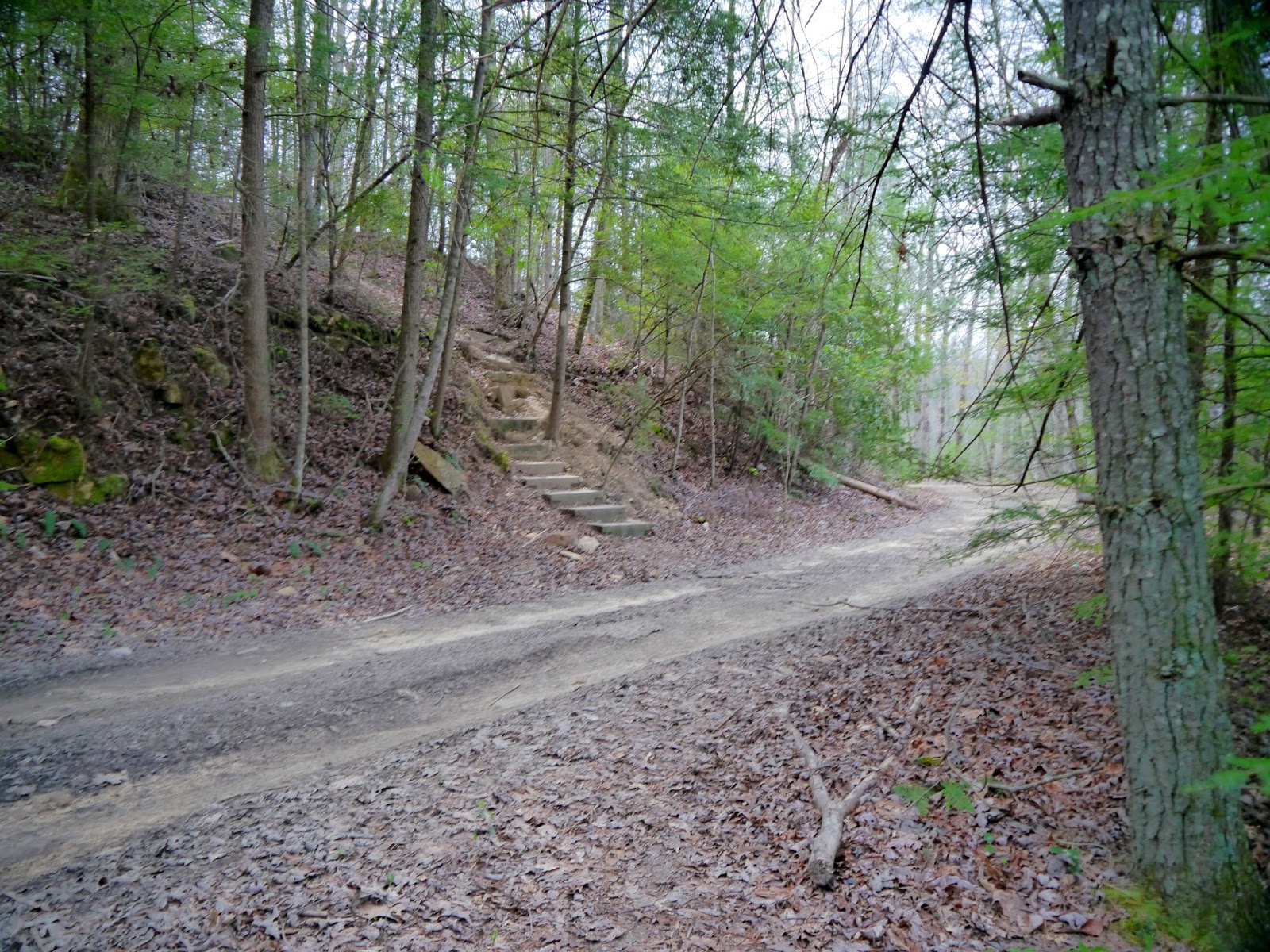 American Travel Journal: Emory River Gorge Section - Cumberland Trail ...
