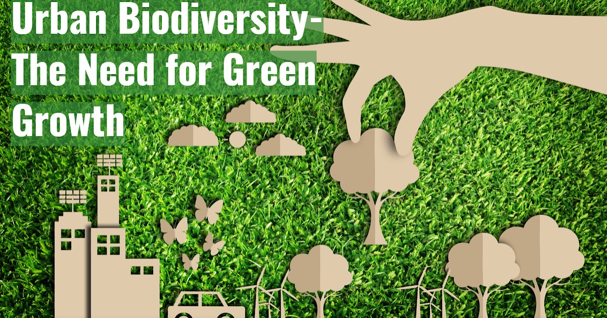 #WorldEnvironmentDay: Urban Biodiversity - The Need for Green Growth