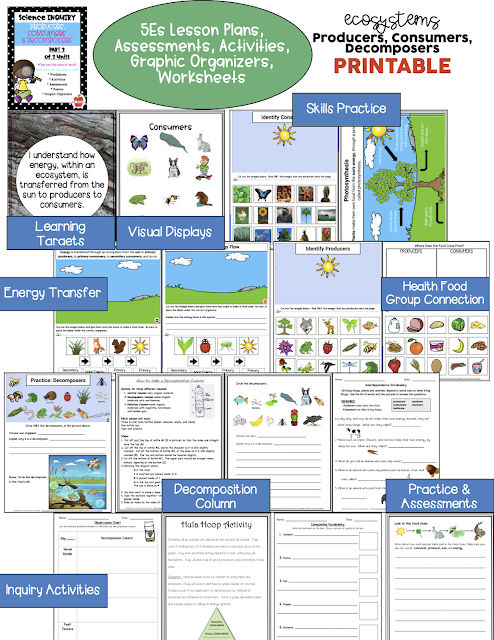 Ecosystem BUNDLE for Distance Learning: Google Classroom and Printable ...