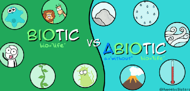 NATURAL SCIENCE EDU: GEJALA ALAM BIOTIK DAN ABIOTIK