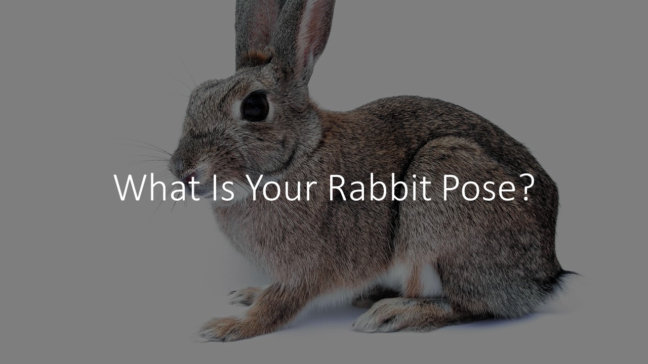 Schultz Party of Four