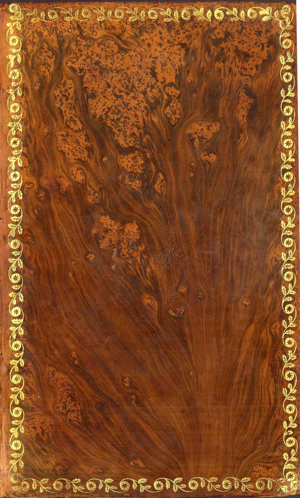 TYWKIWDBI ("Tai-Wiki-Widbee"): "Tree-calf" explained