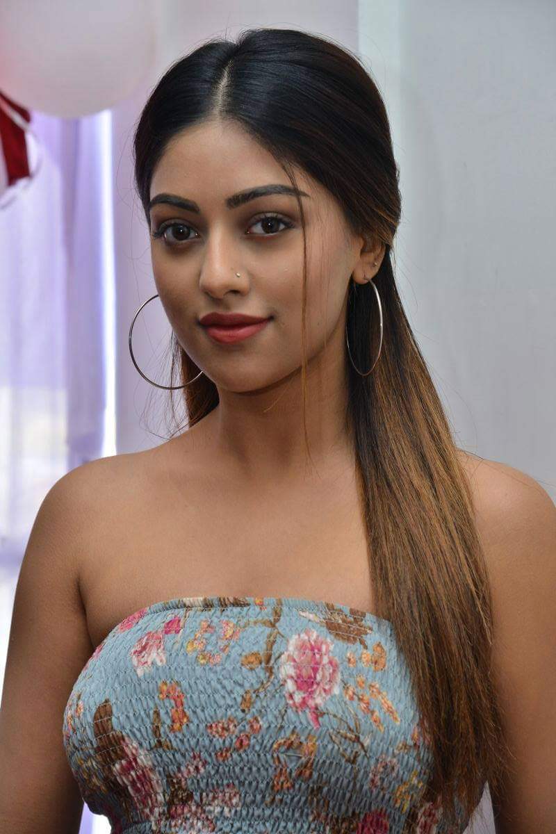 Anu Emmanuel Biography, Lifestyle, Photography 2020, Wiki, In Hindi ...
