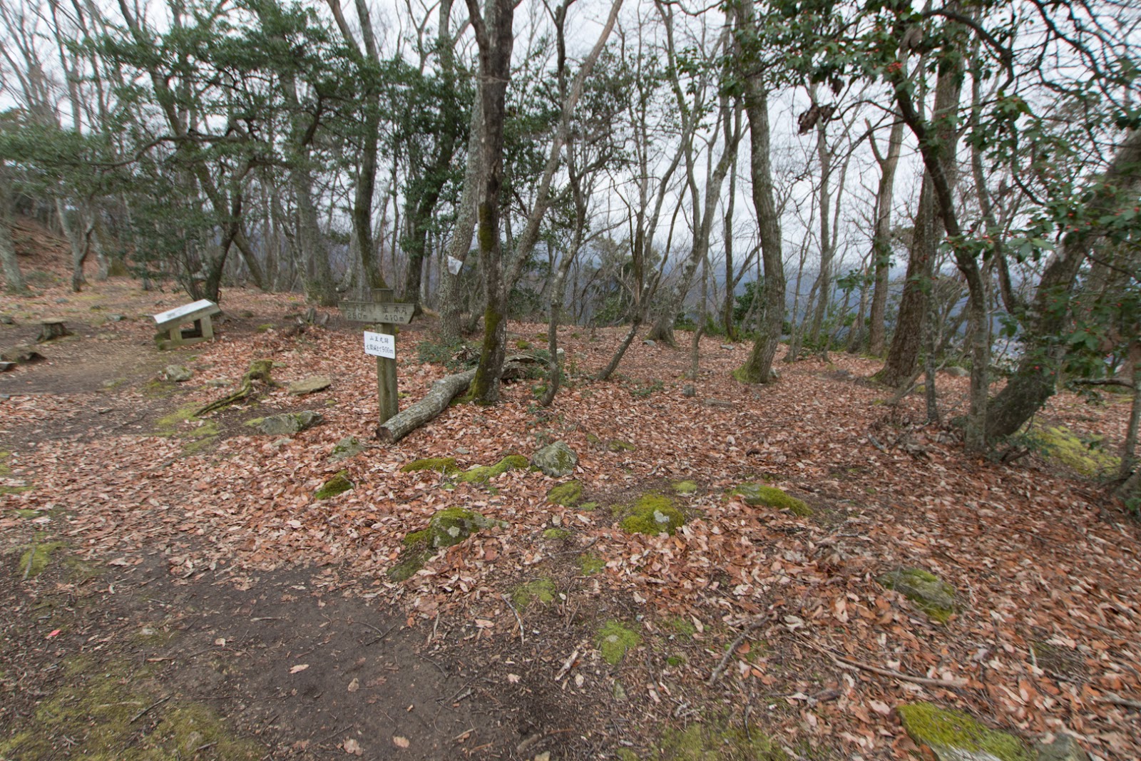 Odani Castle (2) -History of princess and three daughters of Azai clan ...