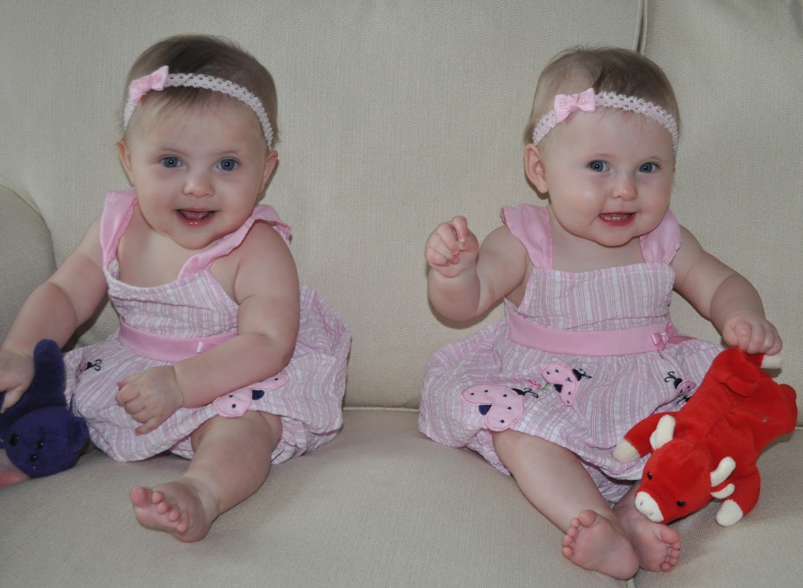A Grain Of Salt: 10 Months: Double Digit Midgets