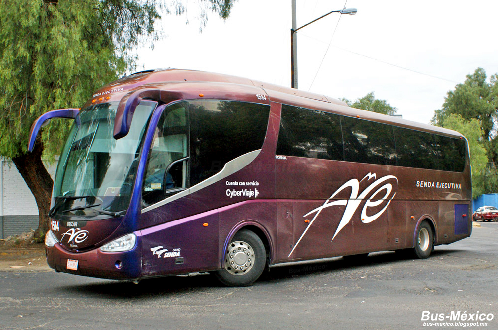 Ave Senda Ejecutiva - Bus-México