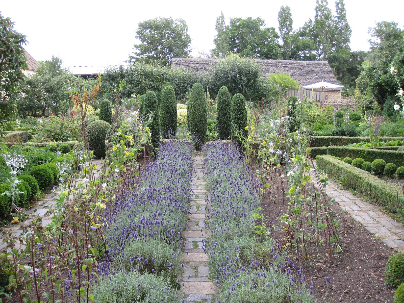 Phyllis Odessey: A Star on the Wane