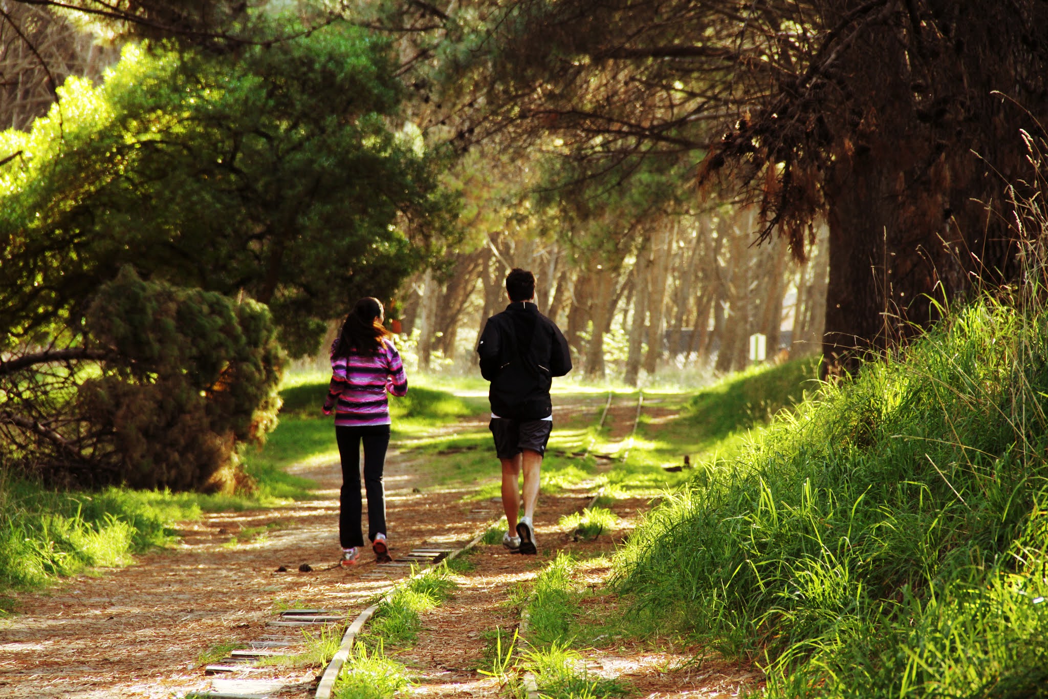 Conociendo el Parque Miguel Lillo de Necochea - Noti Turismo