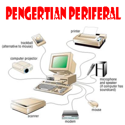 Pengertian Periferal (Unit Tambahan), Fungi dan Contohnya