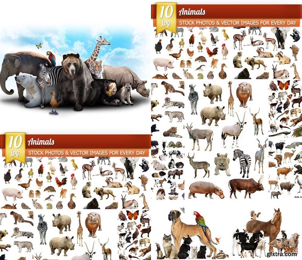 10 Animals Stock Photos - Adobe Free Tutorials