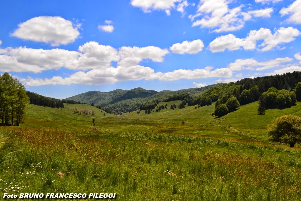 ABIES ALBA. Il diario di montagna di Bruno Francesco Pileggi: ALLA ...