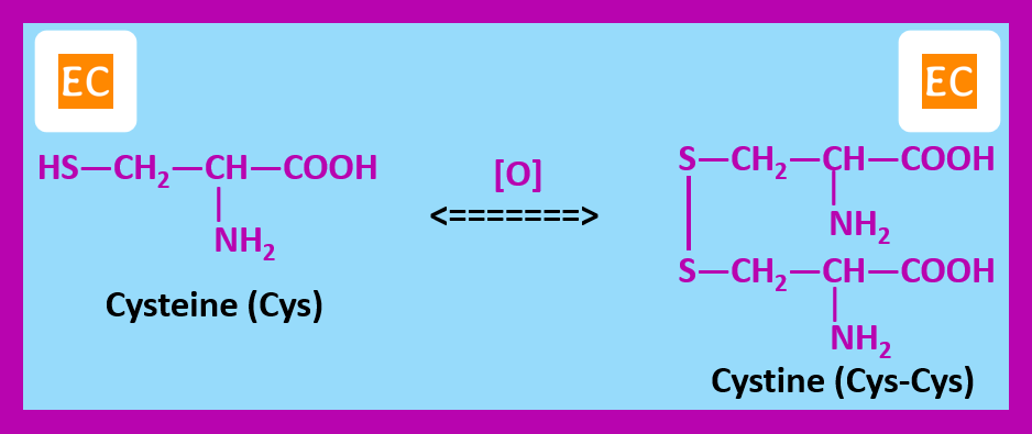 ELEMENTAL CHEMISTRY: Essential Amino Acids