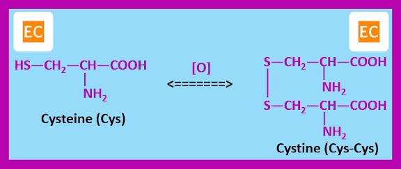 ELEMENTAL CHEMISTRY: Essential Amino Acids