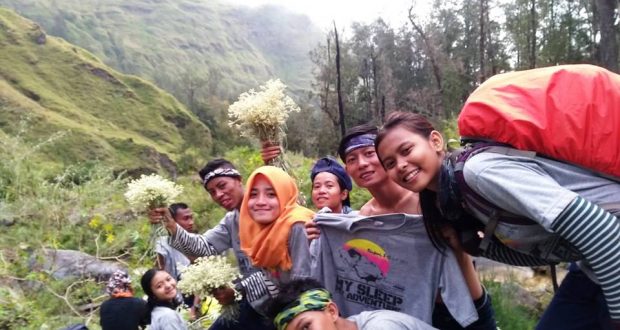 Sikap pendaki alay memetik bunga edelweis di kawasan gunung Rinjani ...