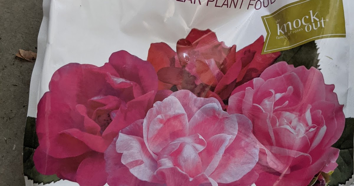 Early Spring Feeding for Hydrangeas and Roses - May 2021