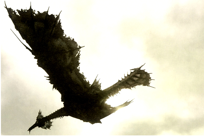 Shadow of the colossus Curiosidades: Black Bird - o suposto pássaro de ...
