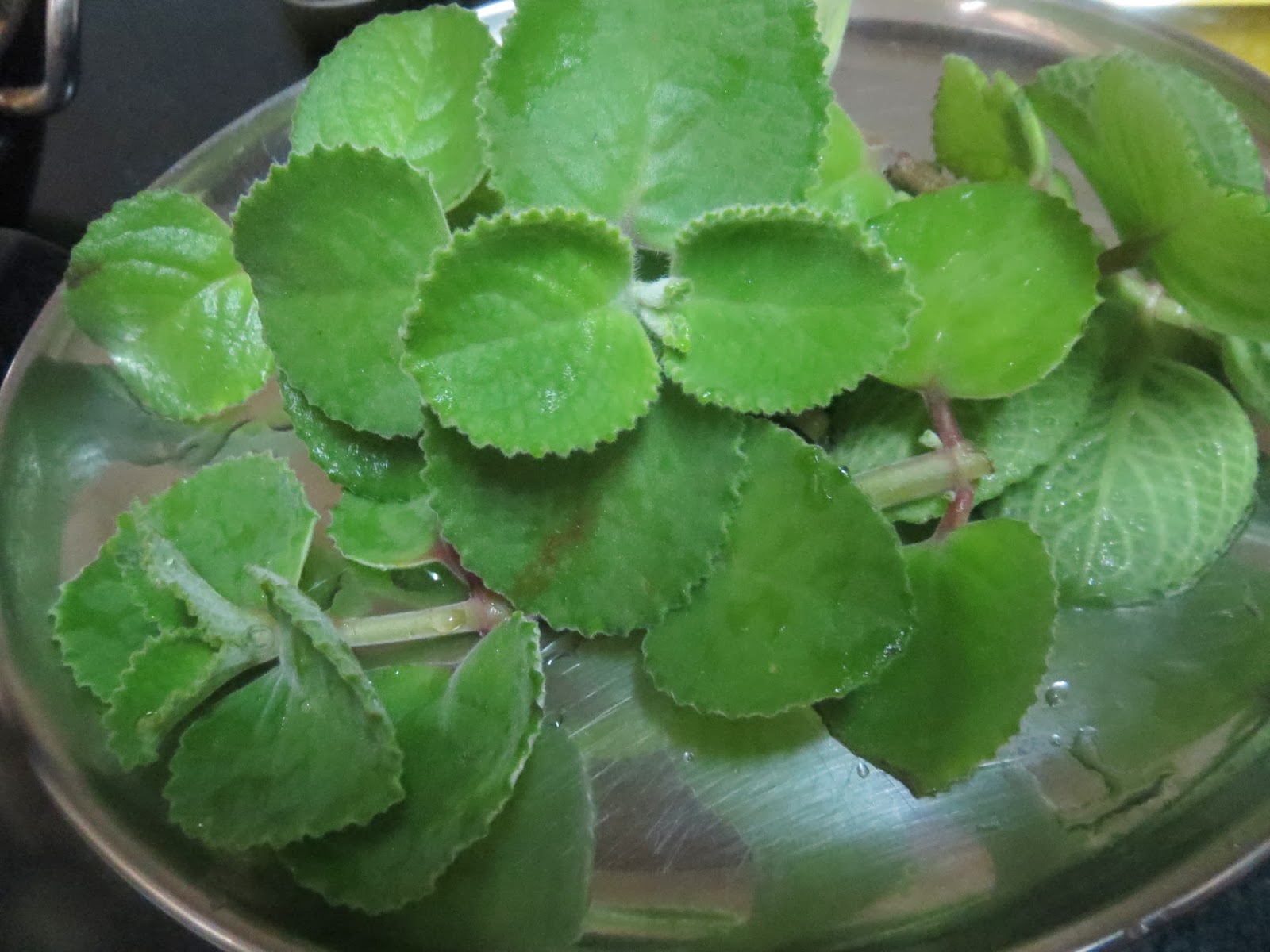 ಅಡಿಗೆ - Adige: Dodda Patre (Coleus aromaticus) Tambuli & Rava Vada