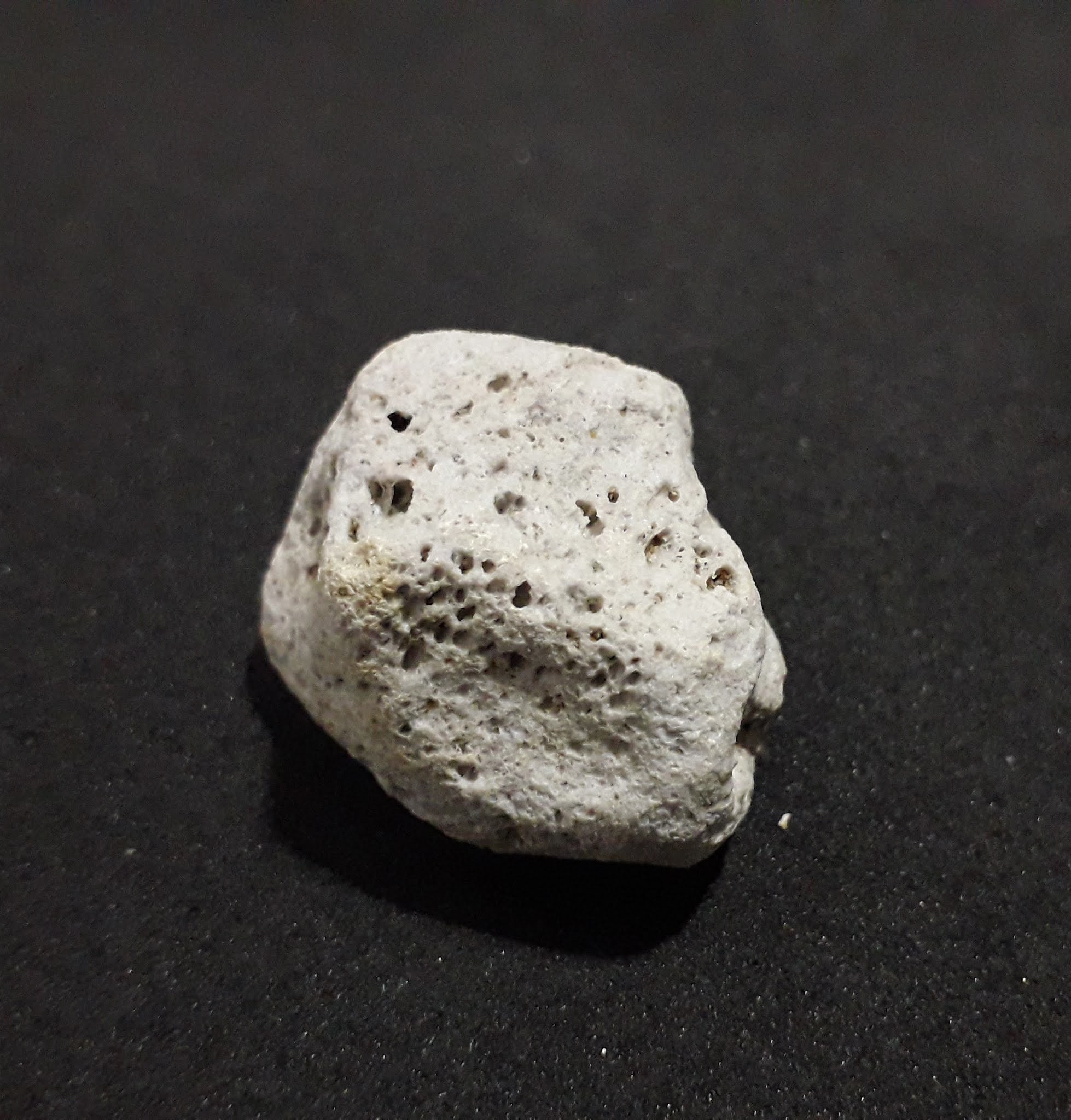 Tesoros a la orilla del mar