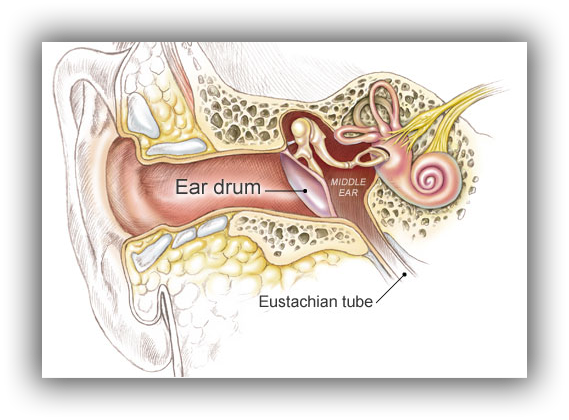 Homoeopathy university