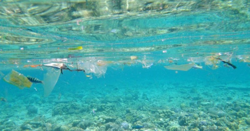 Plastic 'continents': Is there a way out? - GEOLOGY INFO