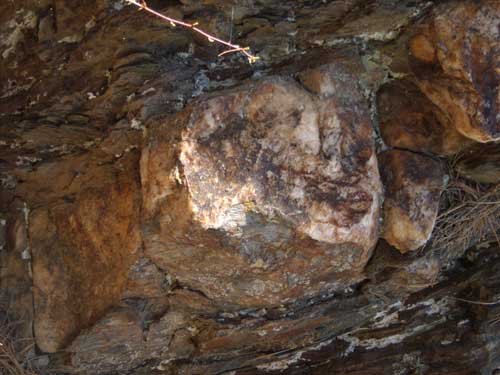 gold prospecting the Black Hills of South Dakota: What is it about lode?