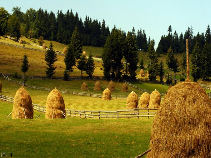 Best WallPapers: Romanian Autumn Best Wallpapers