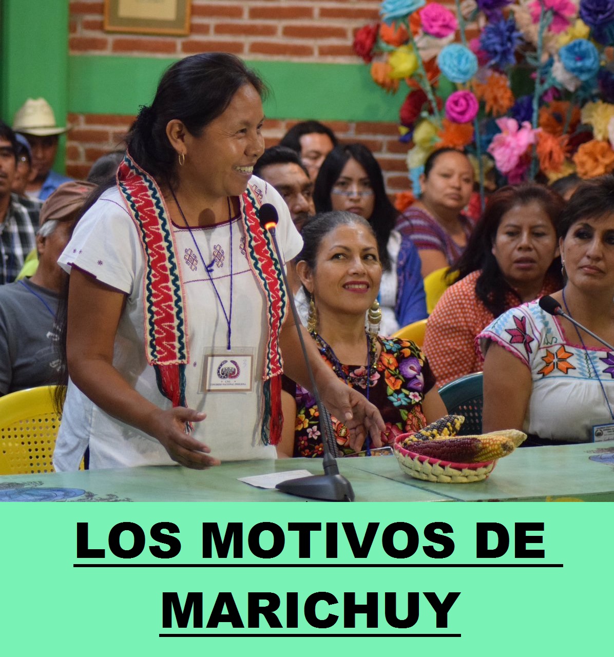 DESARMADOR POLITICO: LOS MOTIVOS DE MARICHUY