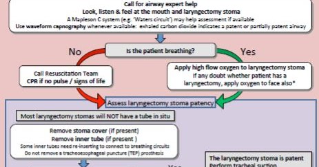 Adult Emergency Medicine: Trachy