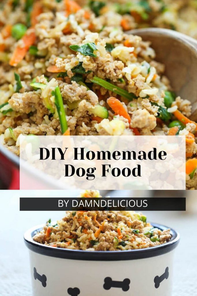 Top 10 DIY Homemade Dog Food Recipes