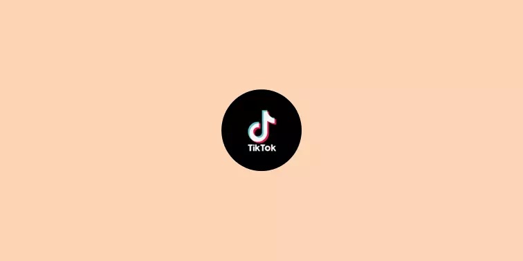 Cara Menggunakan Efek Palm Flame 2 di TikTok - Brankaspedia - Blog tutorial dan tips
