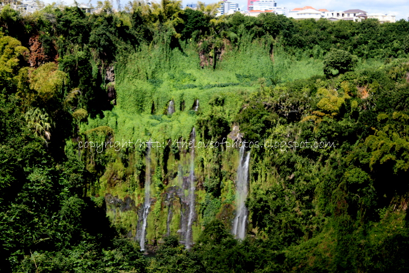 Red Needle's Tropical Passions: Beau Bassin / Rose Hill - Balfour ...