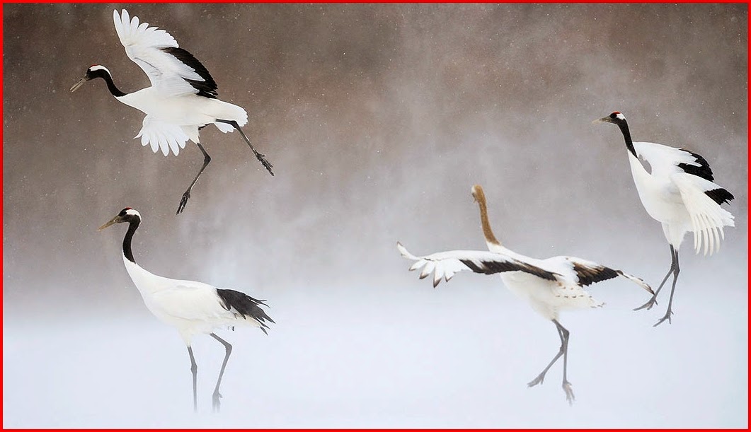 Maru Sama cultura pop e japonesa: Mitologia Japonesa: Simbologia do ...