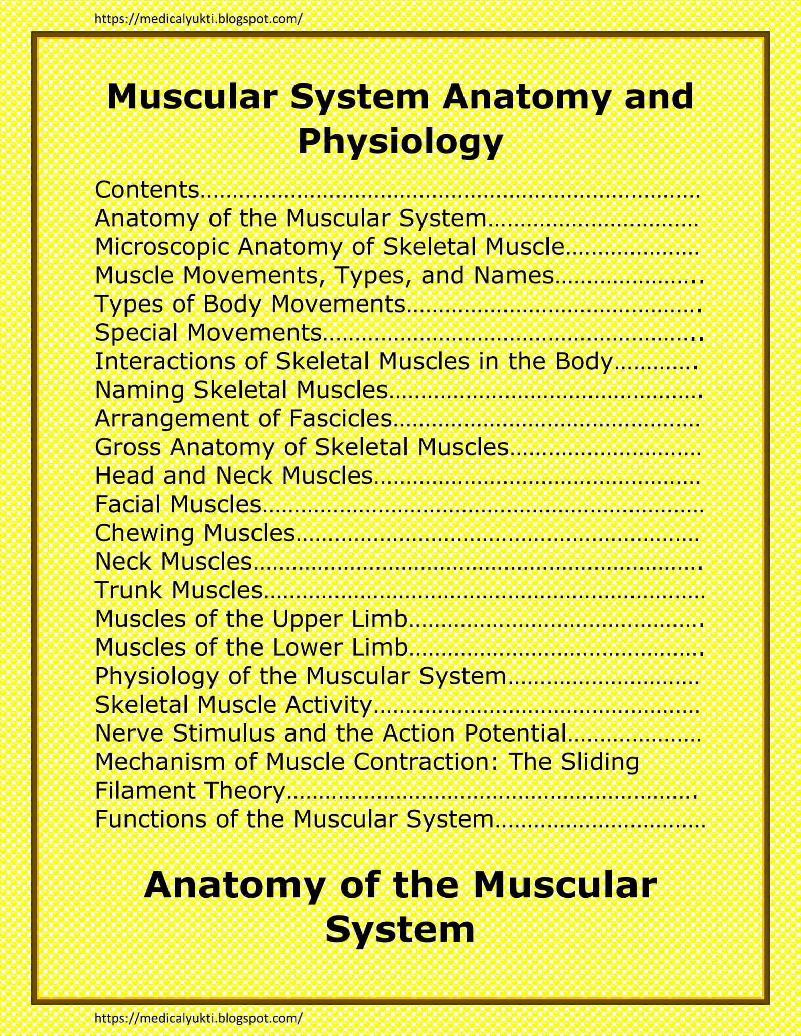 Muscular System Anatomy Physiology - Medical Yukti
