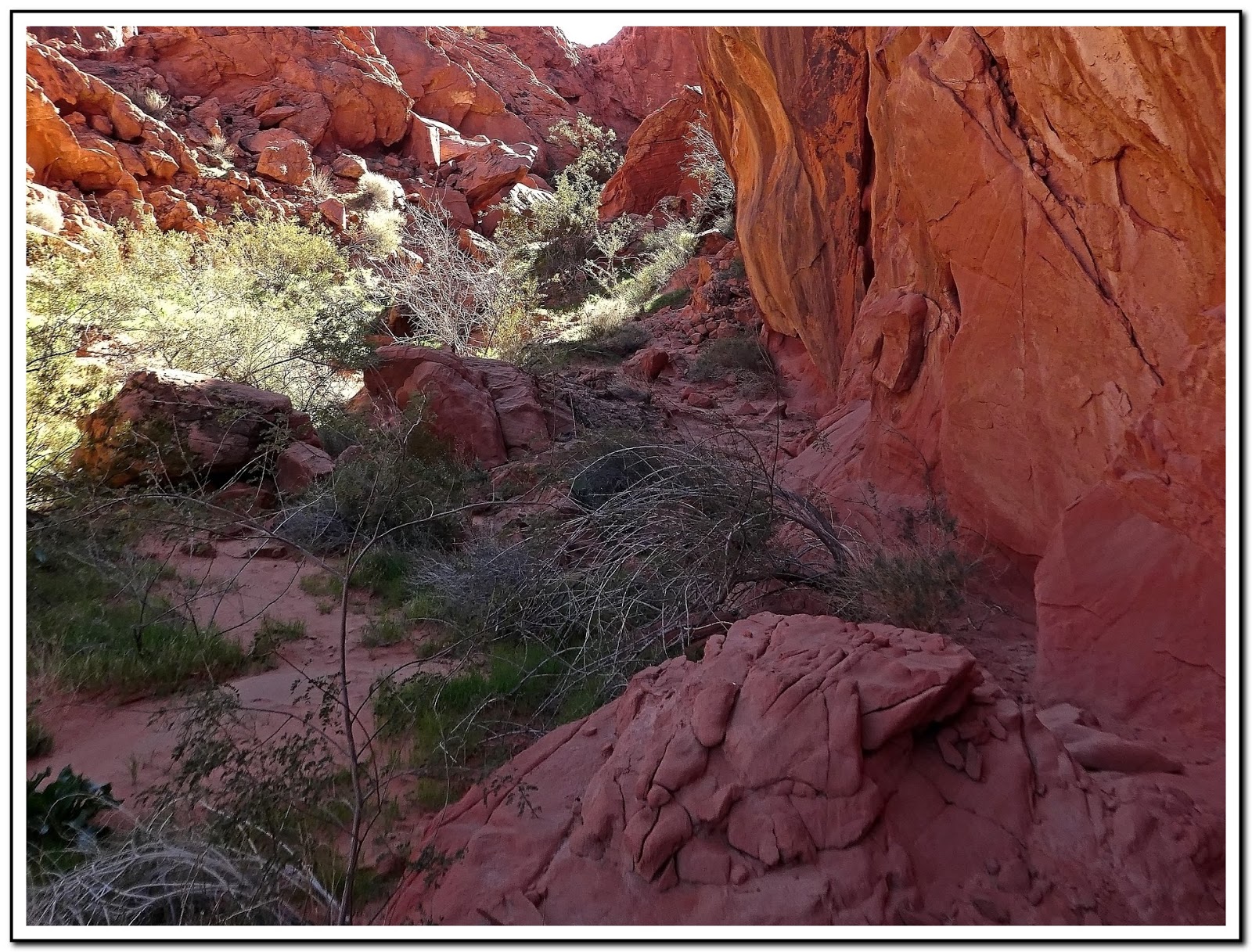 Ken's Photo Gallery: Logandale Trails Recreation Area - Summary Page