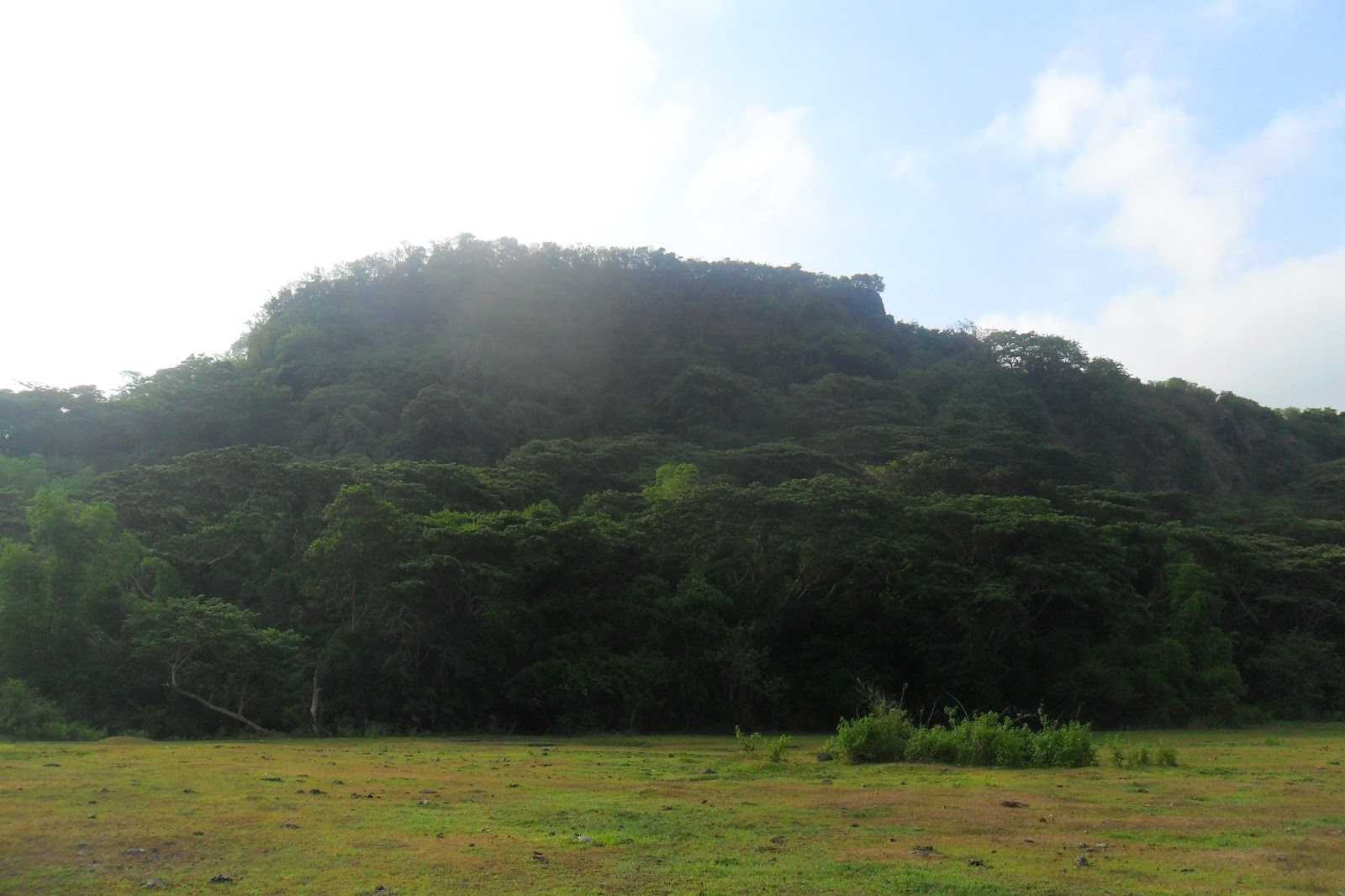 Dince's Chronicles: MT. NAGPATONG AND THE BONIFACIO HISTORICAL ...