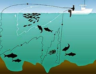 Teknik dan Peralatan Memancing ikan - Blog Anak Nelayan