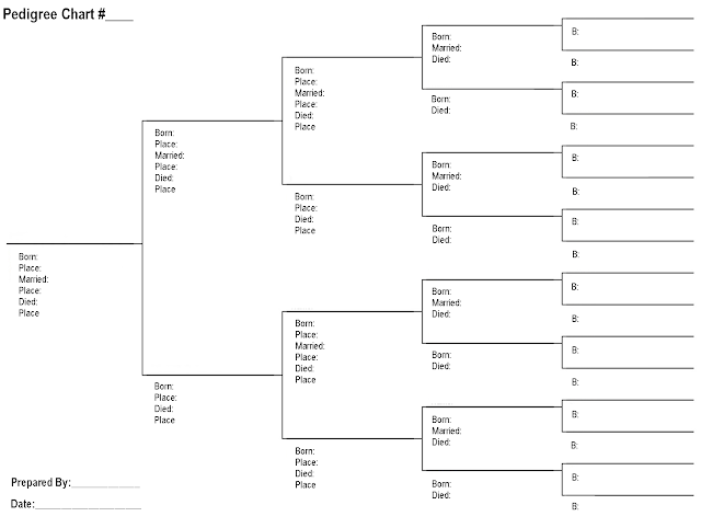 Rejoice, and be exceeding glad...: The Accuracy of a Family Tree